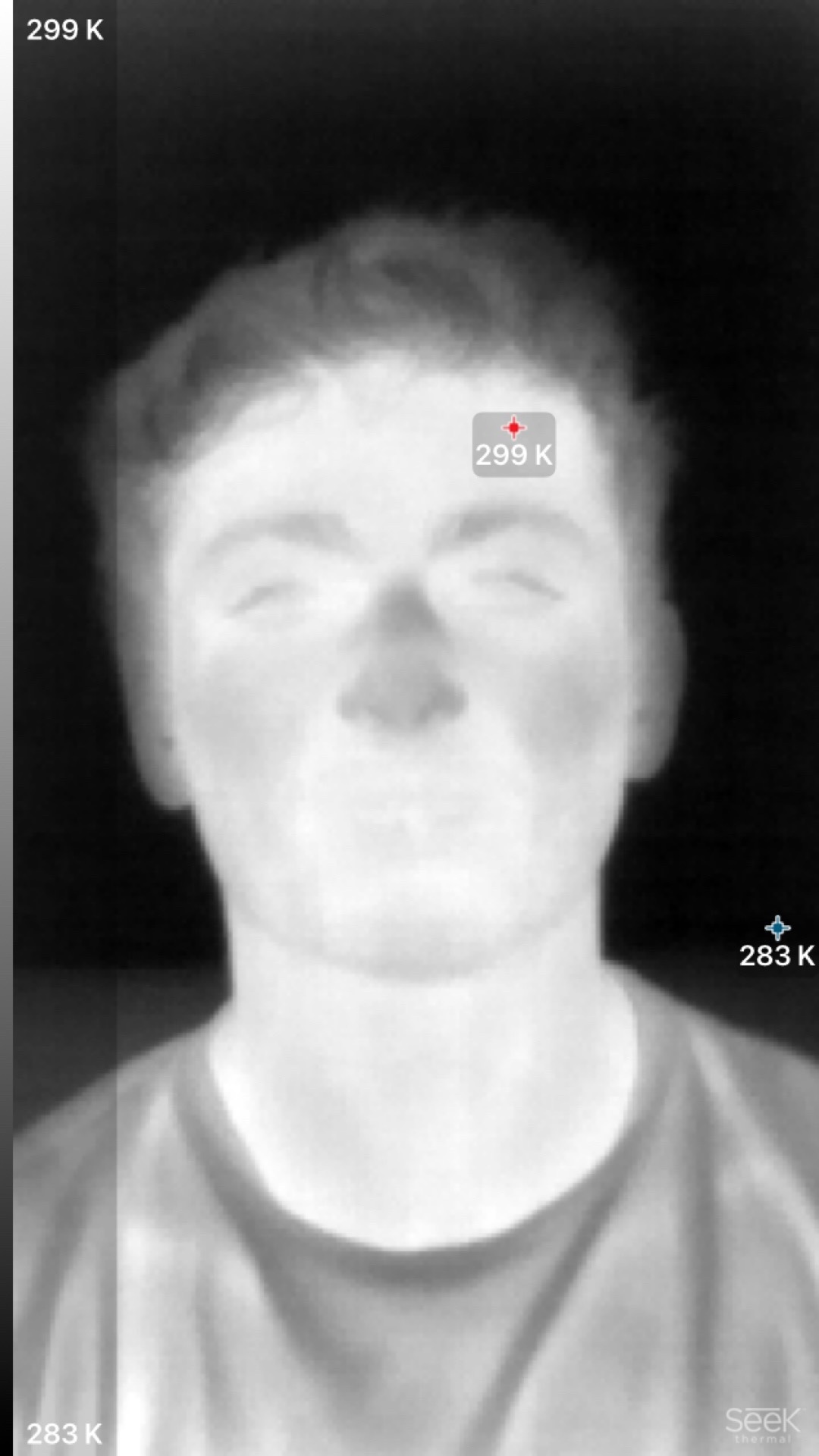 Professional Portfolio